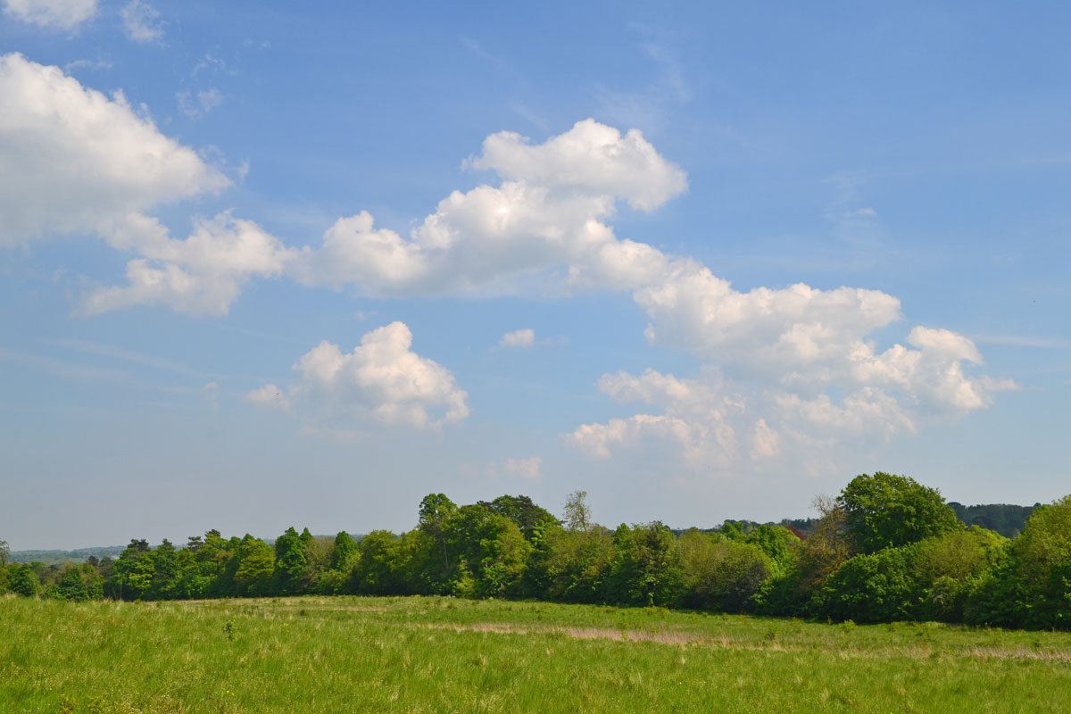 Kent walks near London – A hopefully useful guide to walks within reach ...