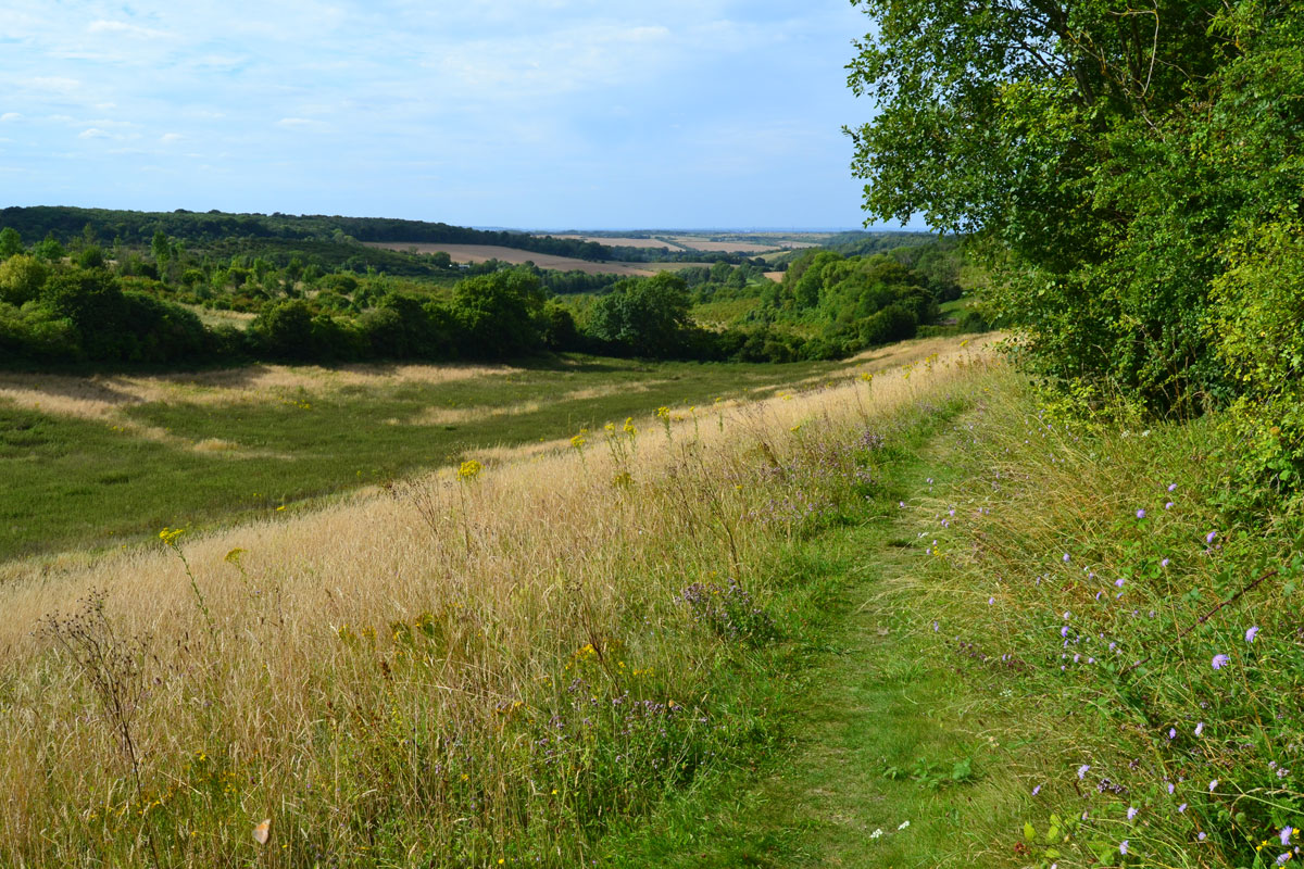 Take secateurs on your Kent walk! – Kent walks near London