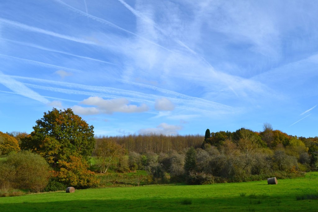 Kent walks near London – A hopefully useful guide to walks within reach ...