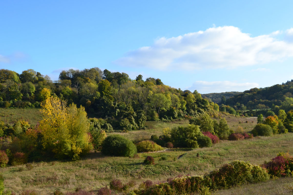 A very summery type of autumn – Kent walks near London